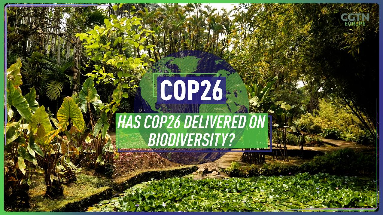 Nature's critical role in tackling climate change recognized at COP26 ...