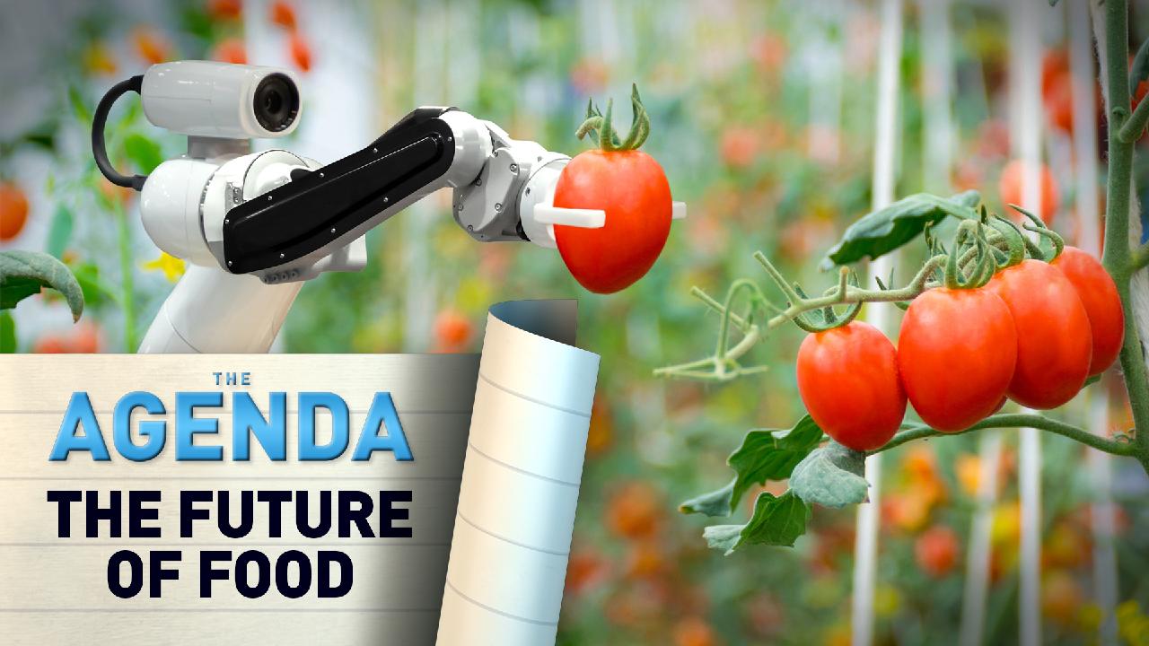 Food of the future: Can we feed ourselves without wrecking the planet ...