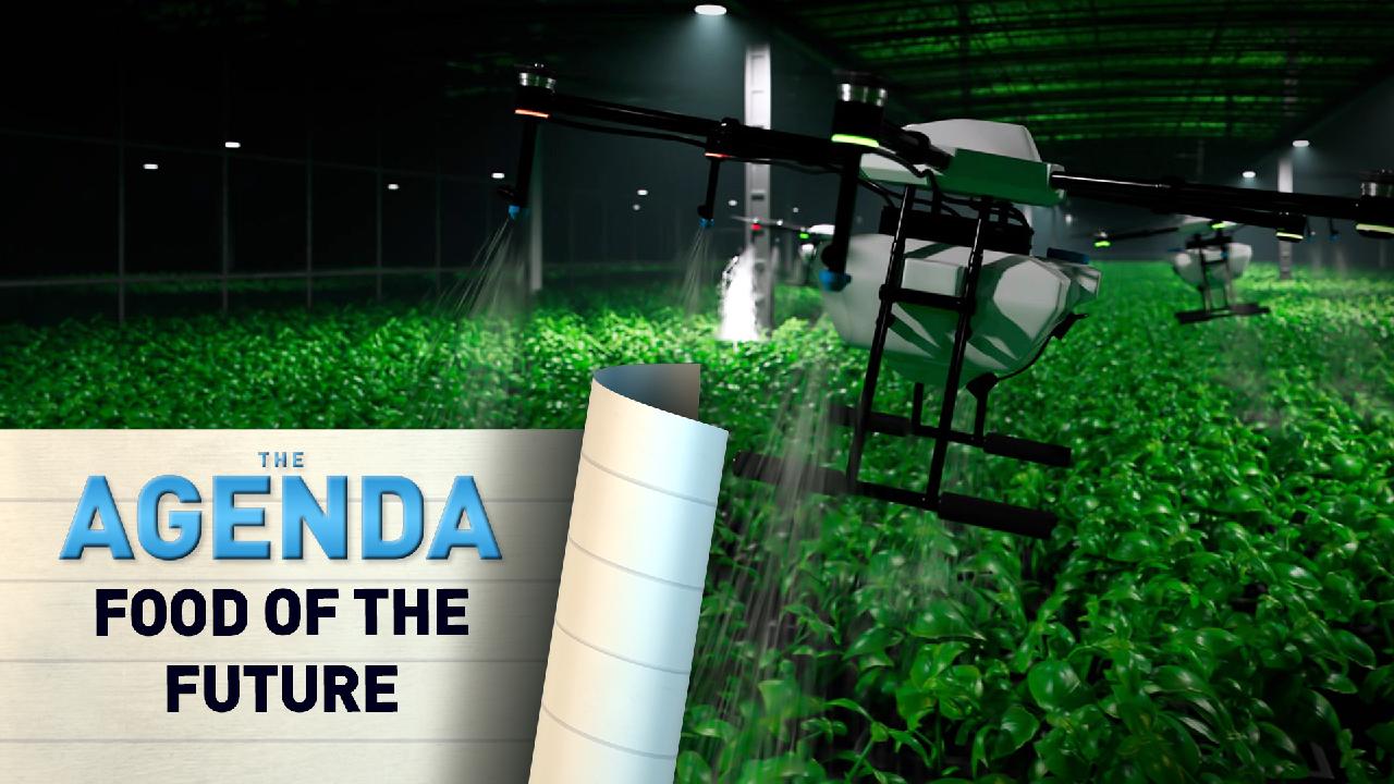 Food of The Future - The Agenda - CGTN