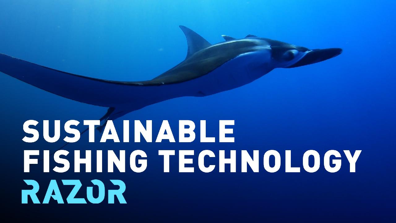 RAZOR: Can precision fishing save biodiversity in our oceans? - CGTN
