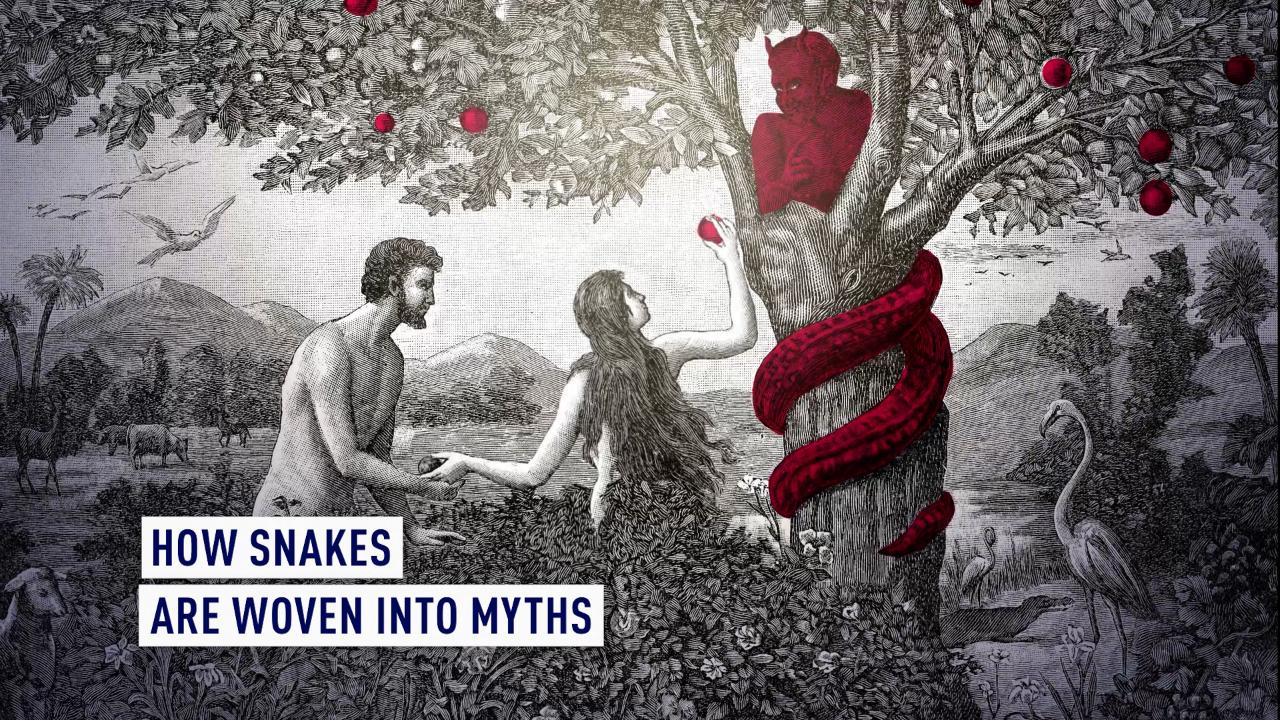 Snakes in mythology and their symbolism across cultures - CGTN