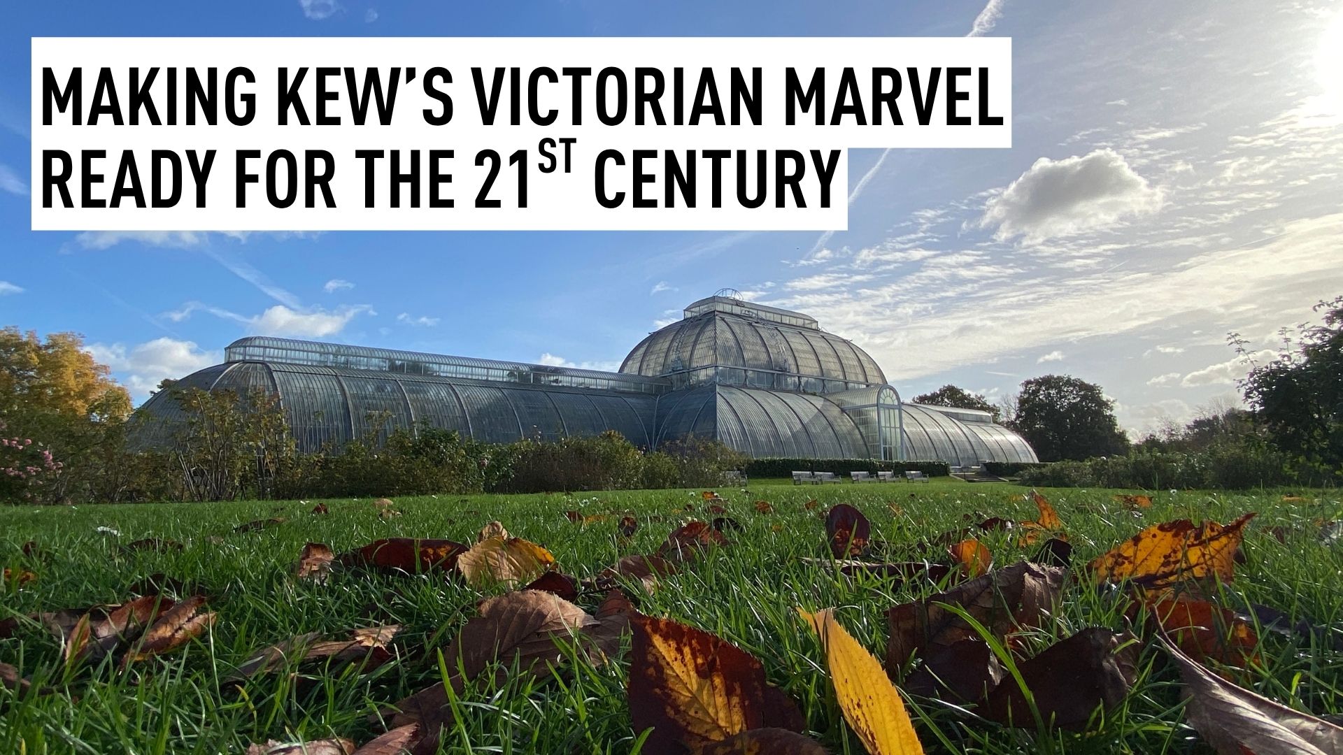 The $80m plan to future-proof Kew Gardens' 175-year-old Palm House - CGTN